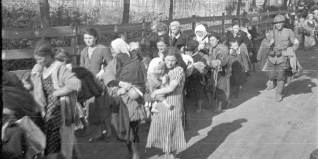 An Israeli filmmaker follows the traces of the “forgotten Holocaust ...