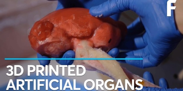 3D printed organs are a medical student's dream come true