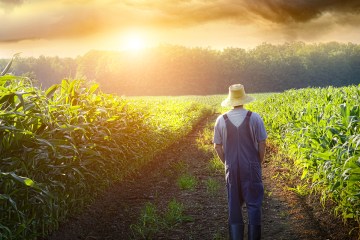 Do Catholics still celebrate Ember Days? And what ARE Ember Days?