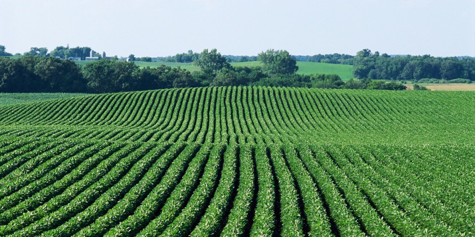 Ask God to bless your garden with this prayer