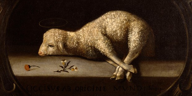 Is “Passover” a mistranslation? An alternate to consider