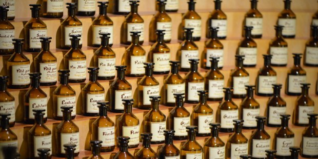 perfume museum