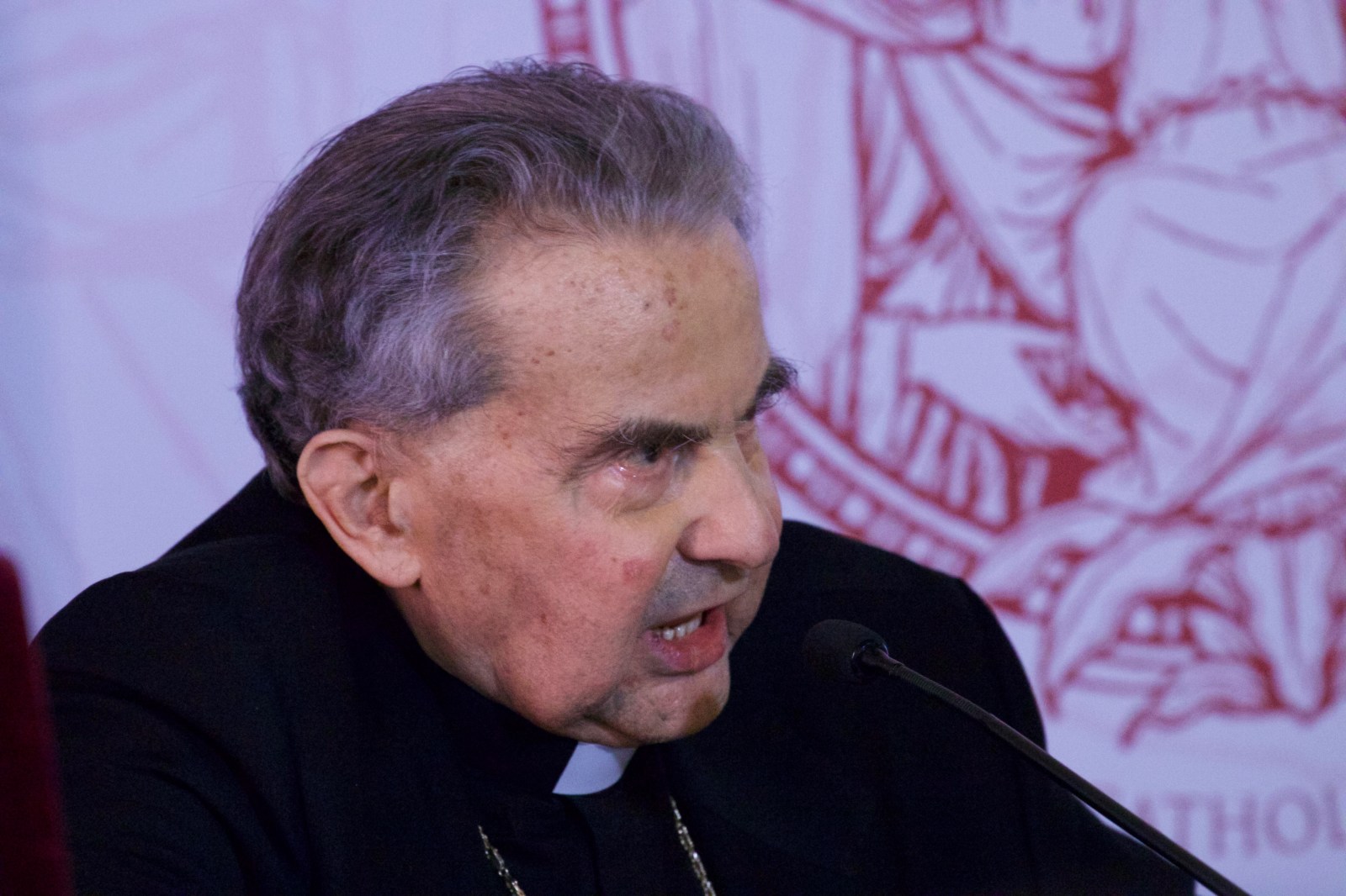 Caffarra Sr. Lucia Final Battle between the Lord and Satan, marriage ...