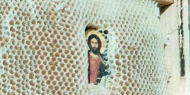 The mystery of icon-preserving bees