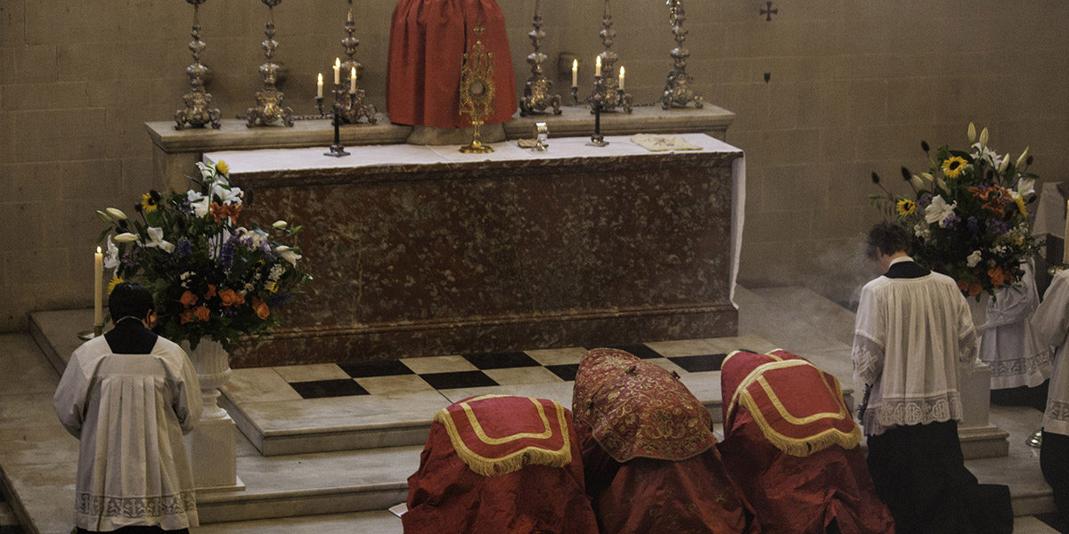 What is the Anglican Ordinariate of Our Lady of Walsingham?