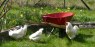Meaning behind William Williams' "The Red Wheelbarrow"--Aleteia
