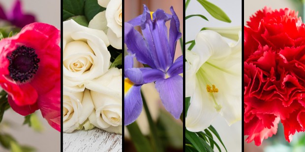 Symbolism of Flowers in Art--Aleteia