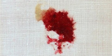 What does the Real Presence of Jesus in the Eucharist mean?