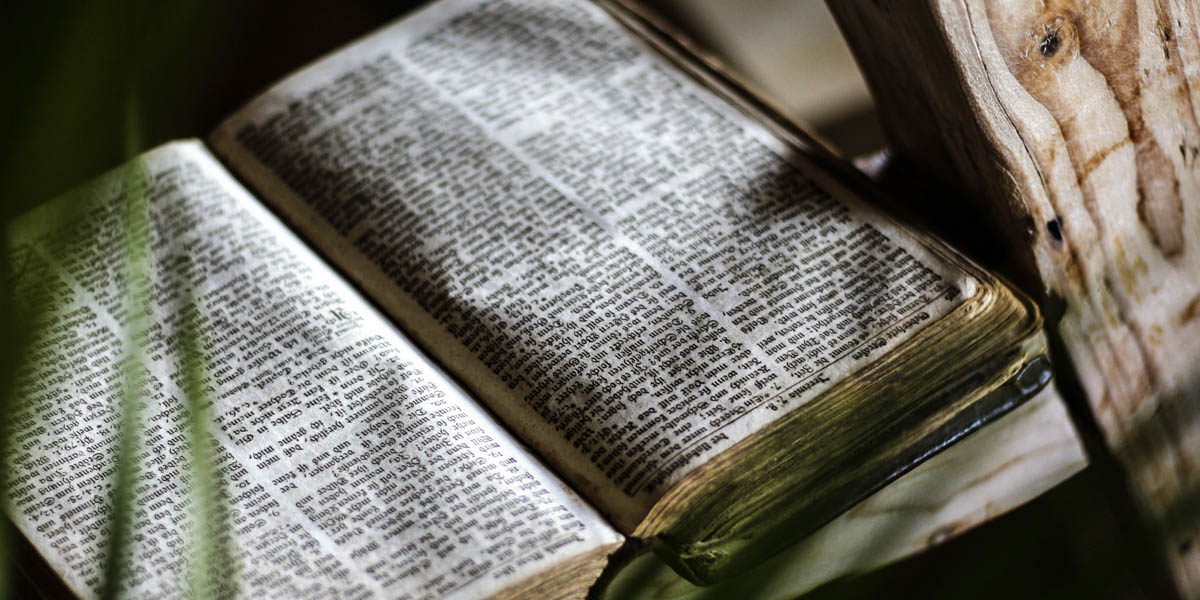 How the Bible shaped (and shapes) Western culture