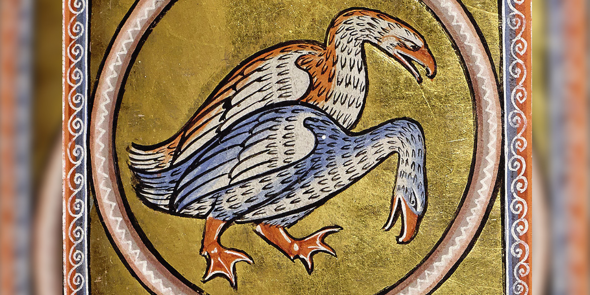 Why is a wild goose a symbol of the Holy Spirit?