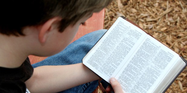 Understanding the bible using Lectio Divina Journal--Aleteia