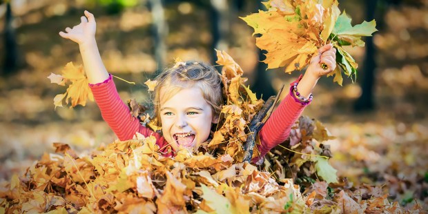 The career lesson I learned while watching my kids "rake" leaves -- Aleteia