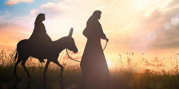 Did Mary ride a donkey to Bethlehem?