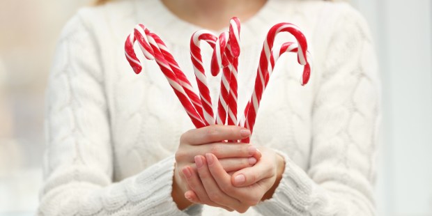 Where did candy canes come from?