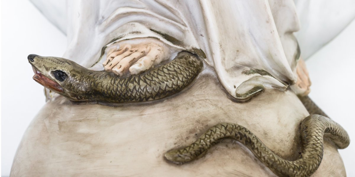 This dream of St. John Bosco highlights the power of the Rosary over ...