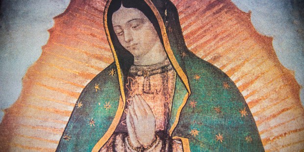 An inside look at the hidden symbols found in Our Lady of Guadalupe's ...