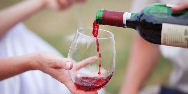 Why drinking wine engages more of your brain than math