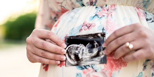 The story of your baby’s life from conception to birth — in images
