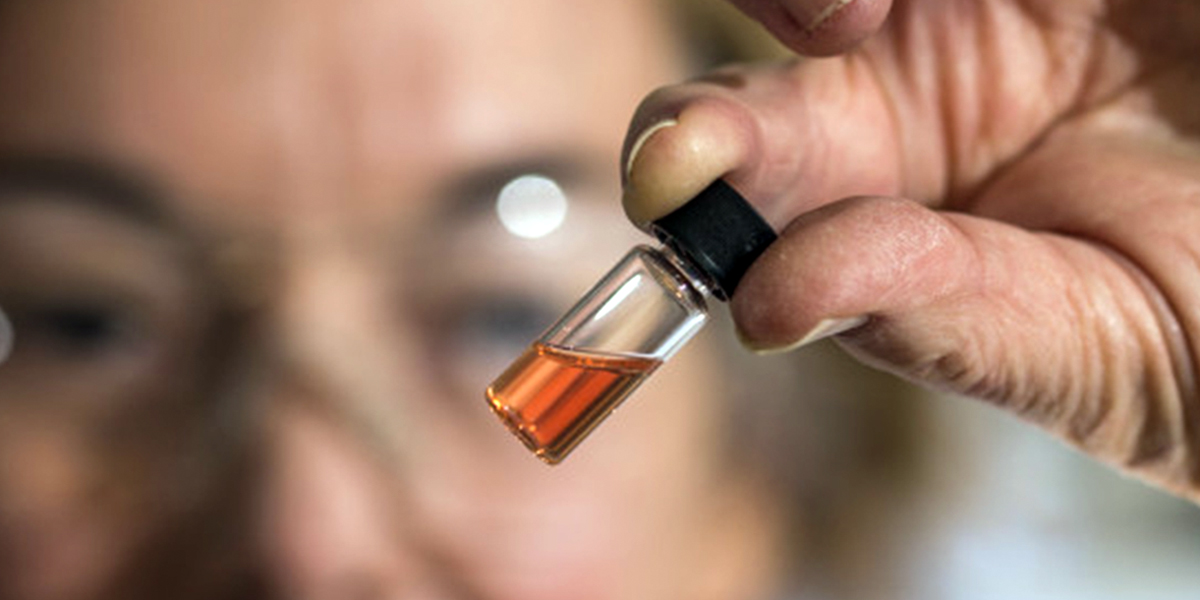 Scientists have discovered the oldest color in the world