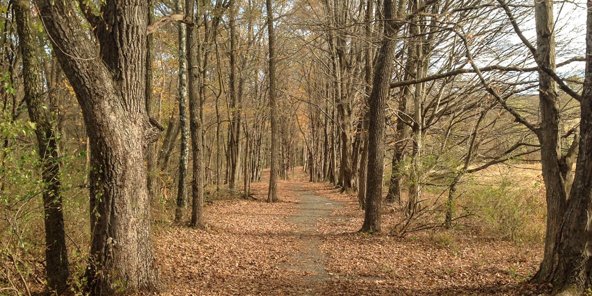 Praying and fasting for priests during Ember Days --Aleteia