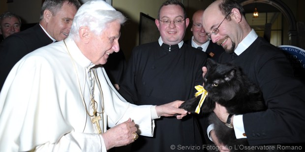 Pope Francis says Benedict XVI "knew the language of cats"