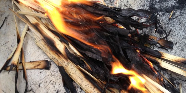 The symbolism of burning palm branches before Ash Wednesday