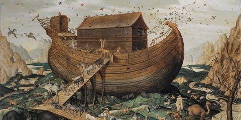 Was Noah’s Ark really discovered in Turkey?