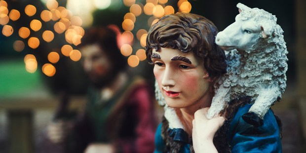 Meditate on the simple hearts of the shepherds at Christmas