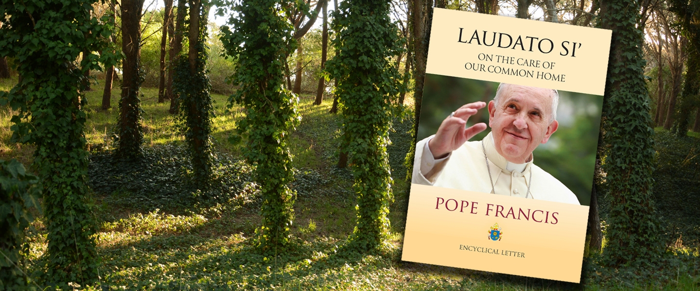 Laudato Si’ Movement, Aleteia