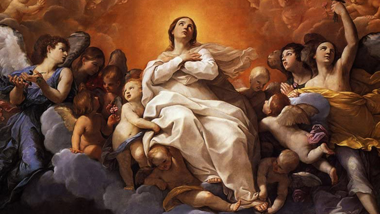 Join the Assumption Rosary Rally for peace tomorrow!