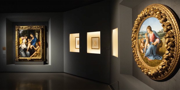 “Greatest collection” of Raphael’s works can be viewed on museum’s videos