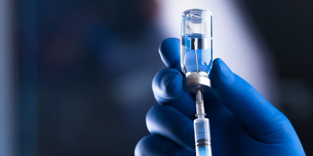 New Zealand to hold world’s first national referendum on euthanasia