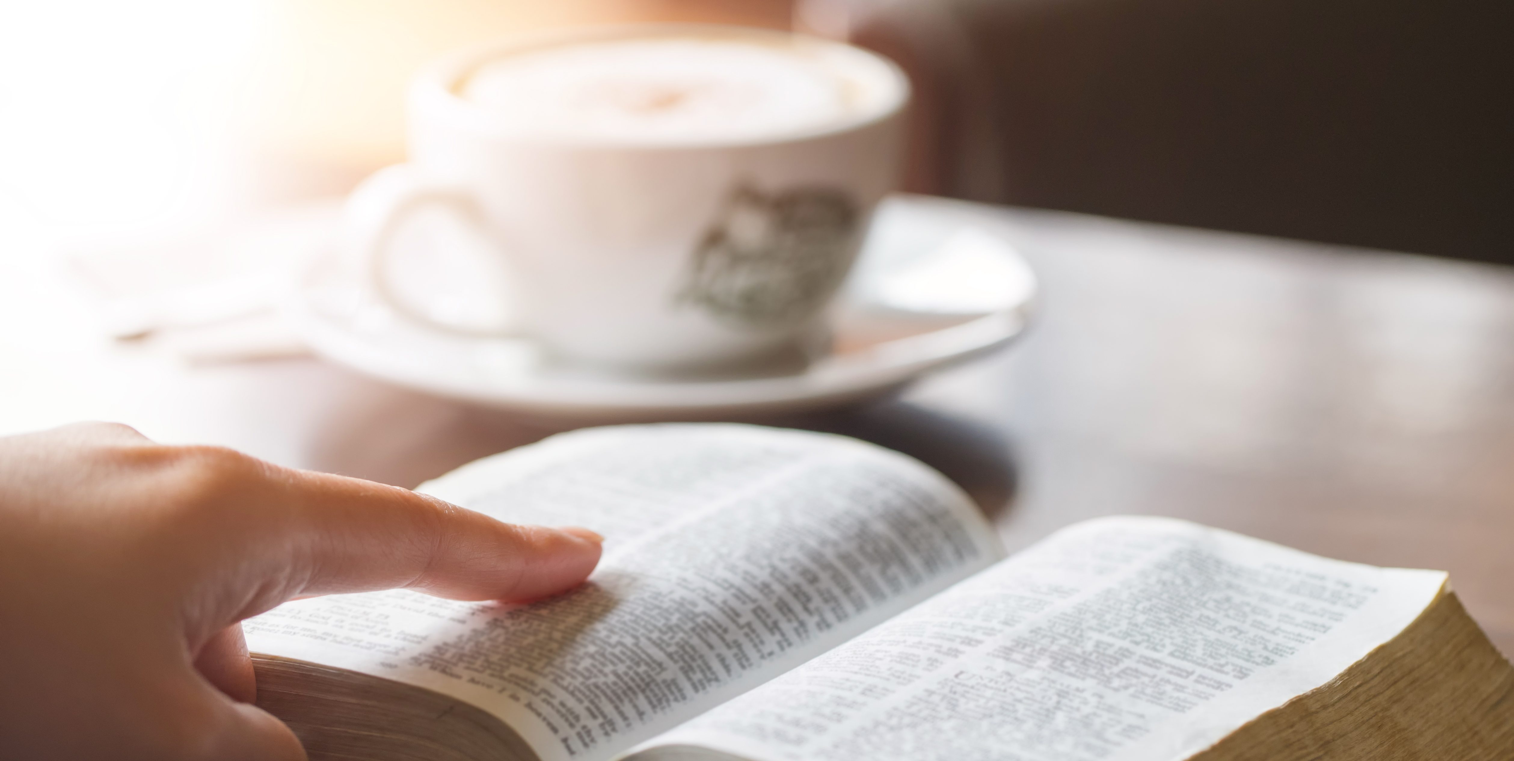5 Of the best Catholic Bible studies to do online
