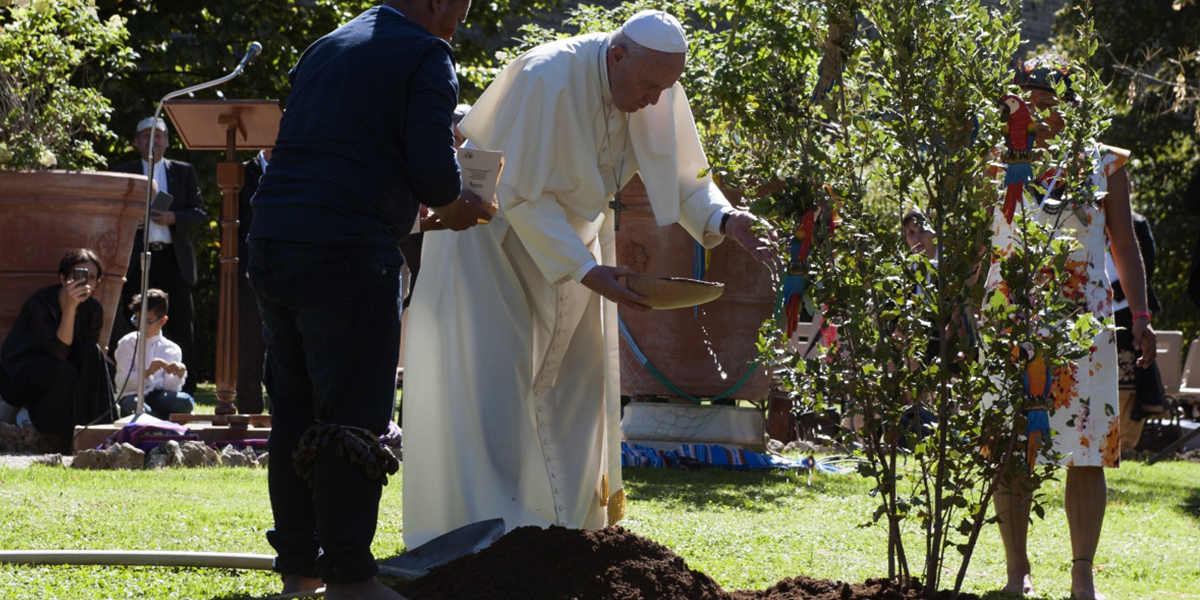 Pope Francis explains how he came to care about the environment