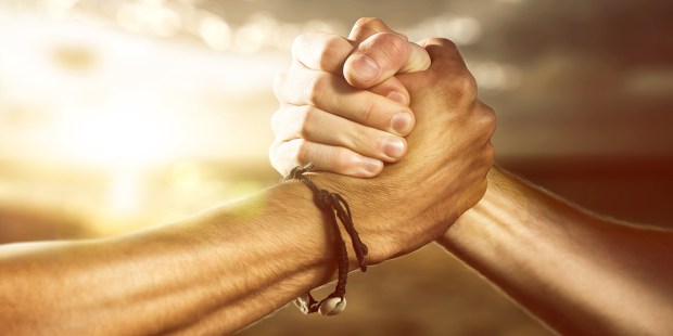 The basic values needed for solidarity