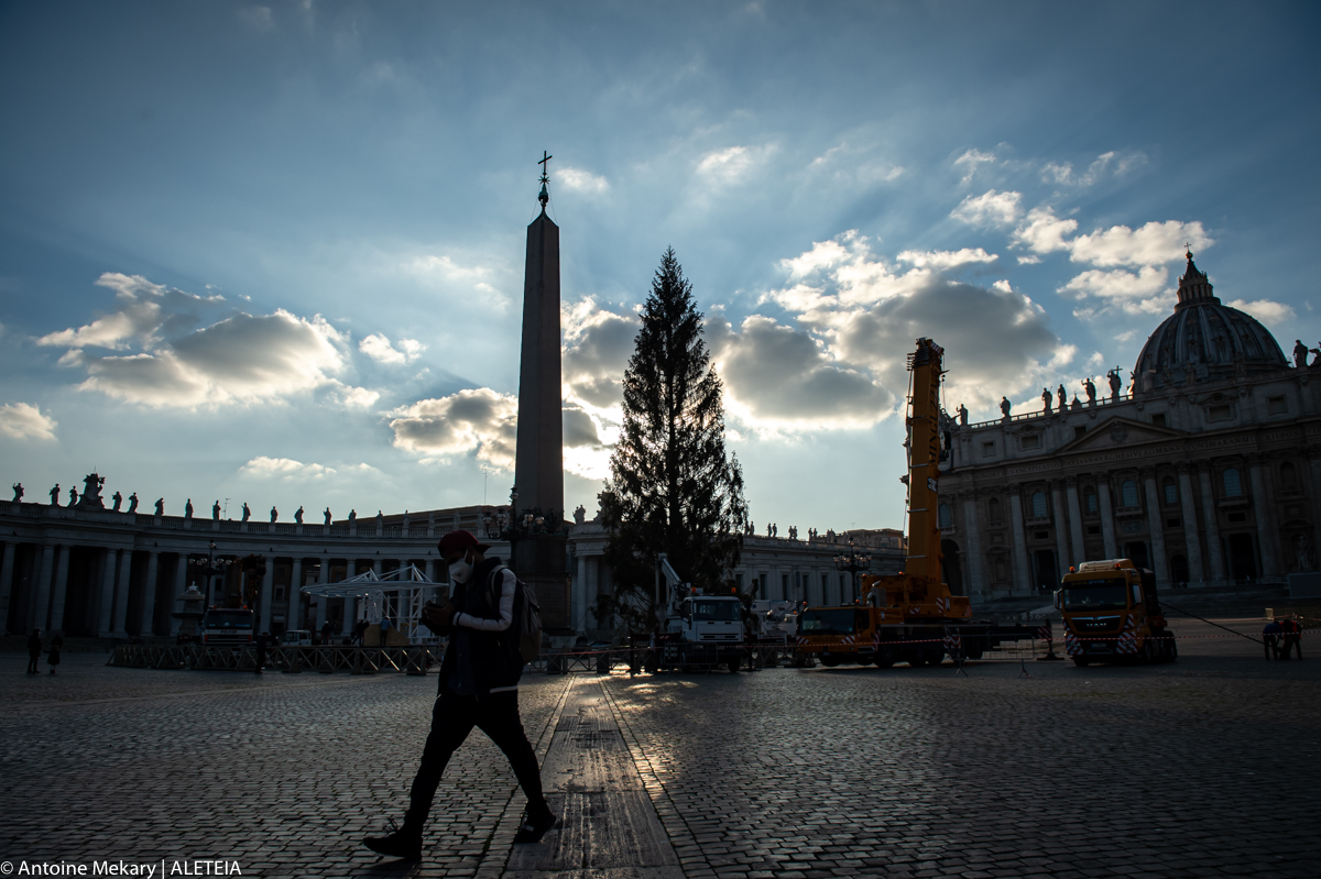 Photos: Christmas tree arrives at the Vatican