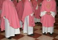 Why priests wear "rose" and not pink vestments