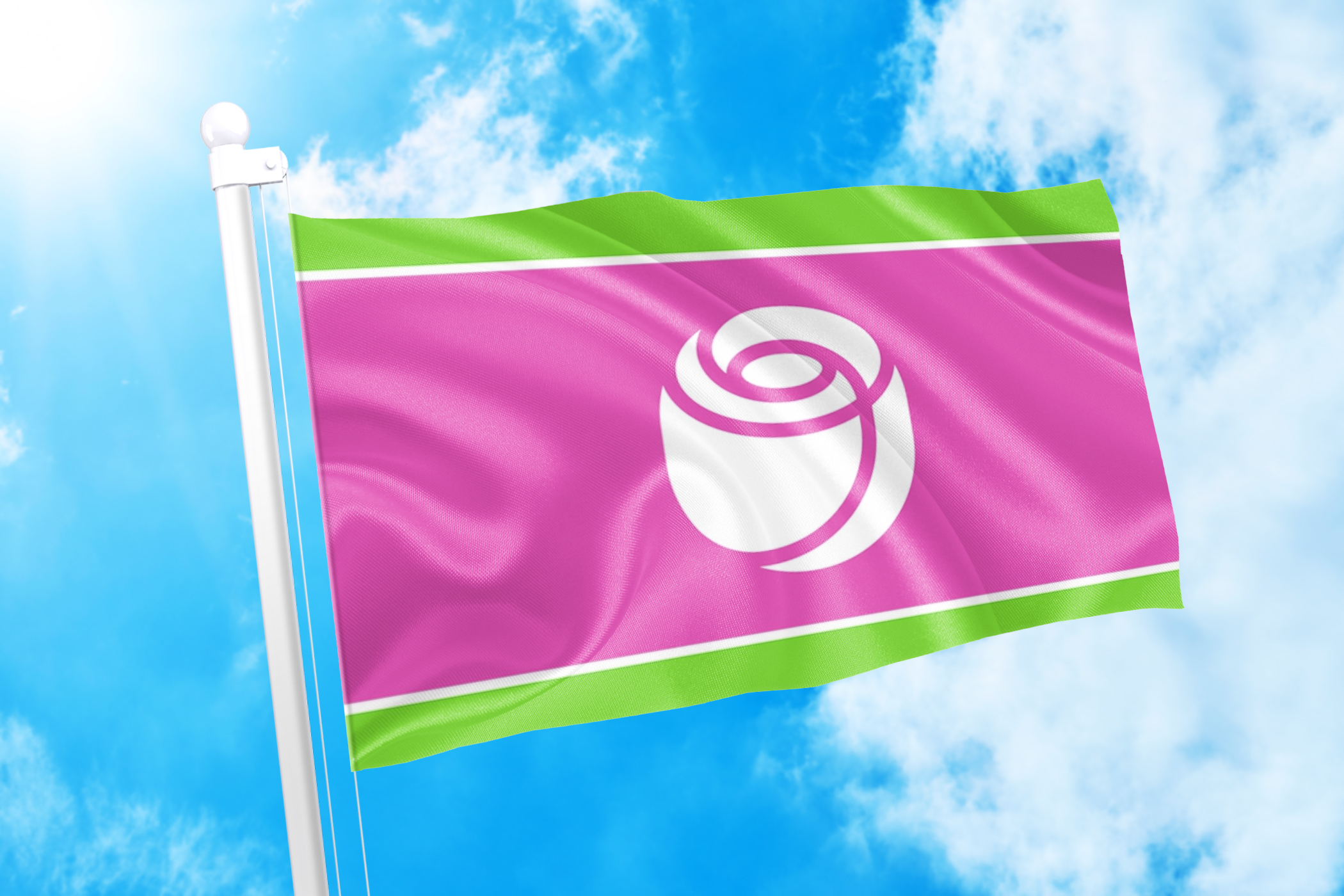 Pro-Life Flag Project opens voting to choose unifying banner