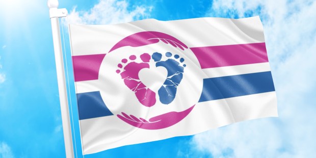 The results are in: here is your international pro-life flag