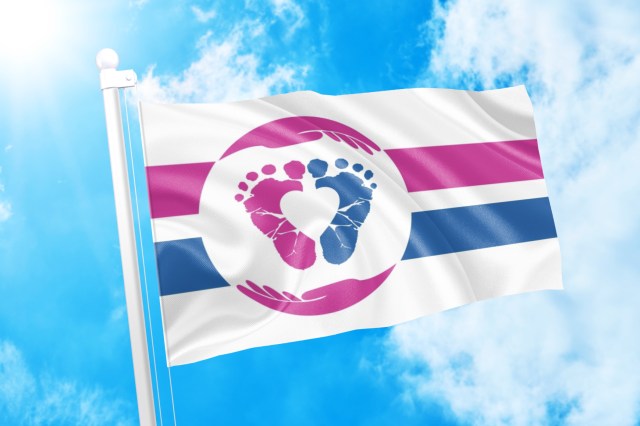 The results are in: here is your international pro-life flag