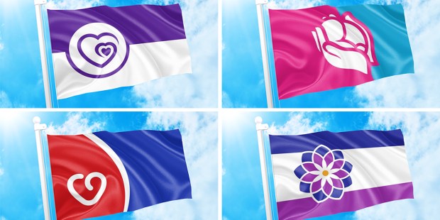 Pro-Life Flag Project opens voting to choose unifying banner