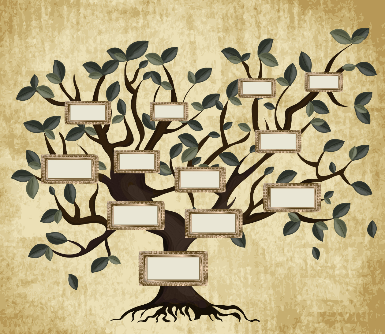 The Fascinating family tree of Pope Leo XIV