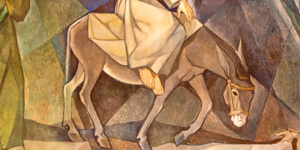 From honor to scorn: Donkeys and the papacy