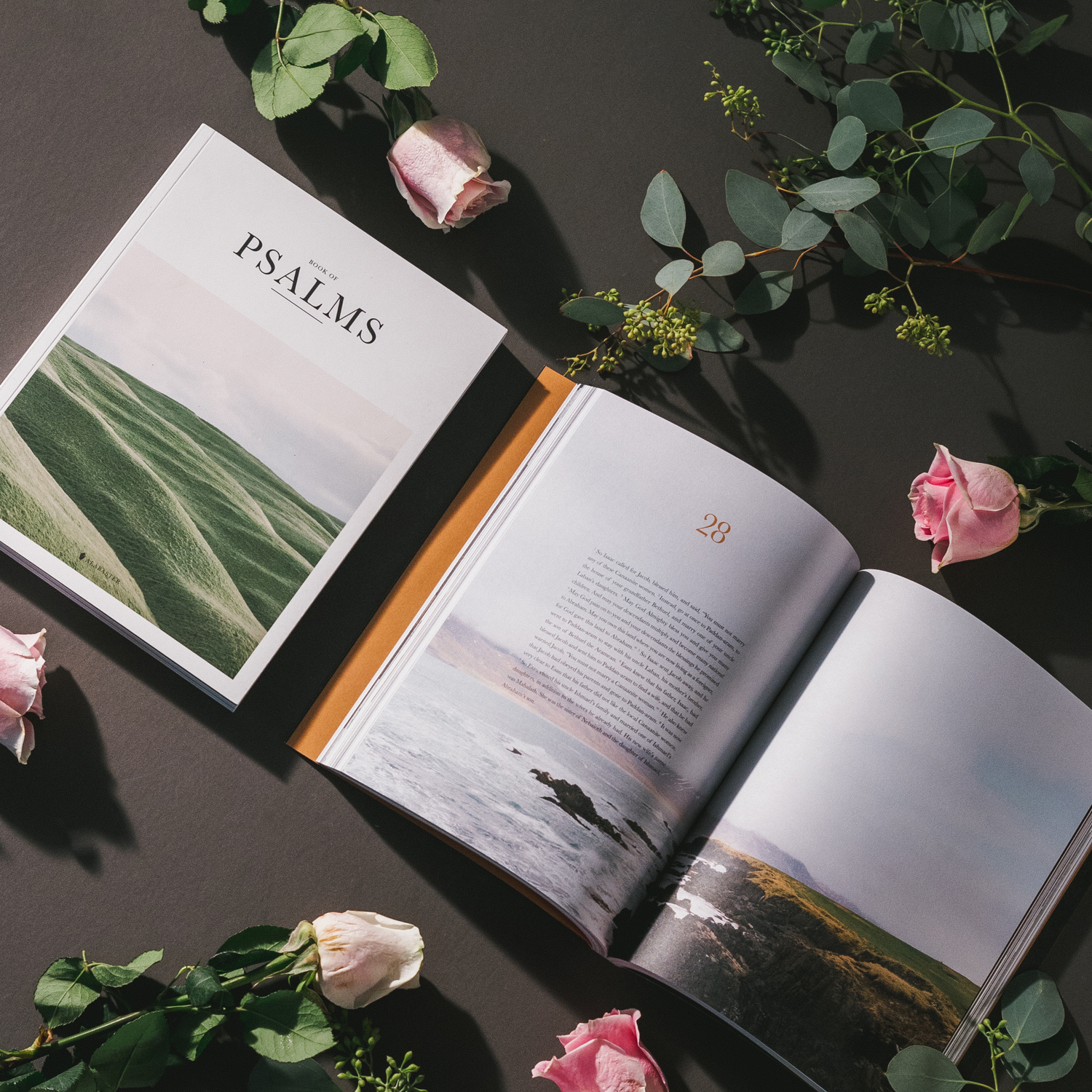 This beautiful Bible is perfect for young adults