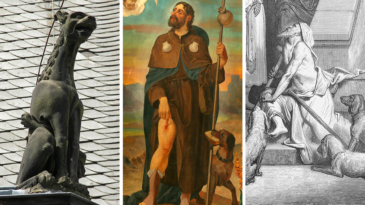 5 Incredible stories of dogs who've saved lives and souls through history