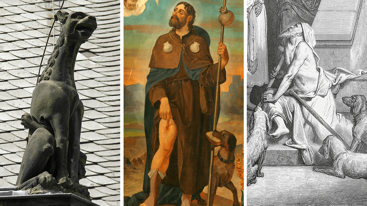 A Catholic perspective on euthanasia for pets