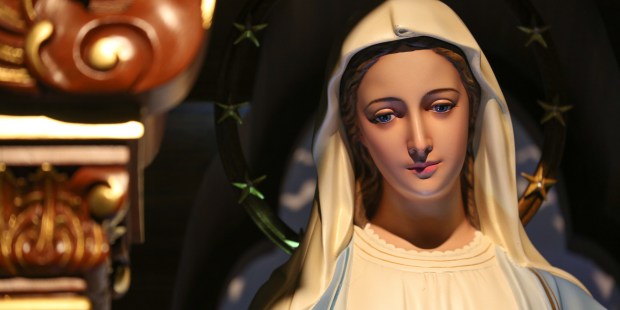 Daily consecration to Mary