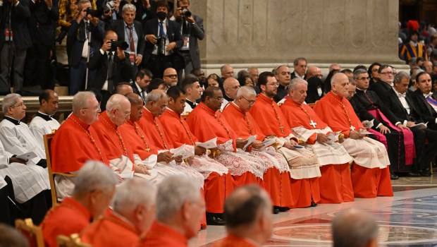 Want to get to know the 16 new cardinal electors? Here are their ...