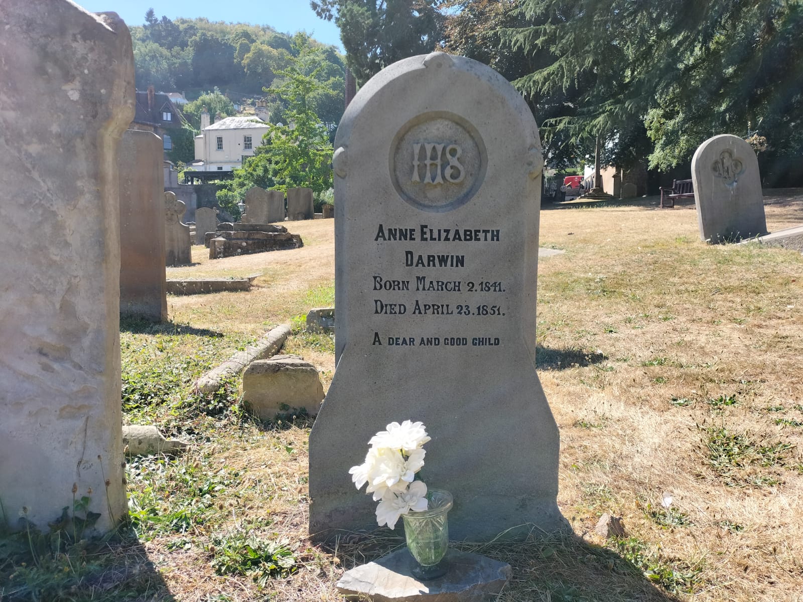 The touching and tragic story of Charles Darwin's bid to save his ...