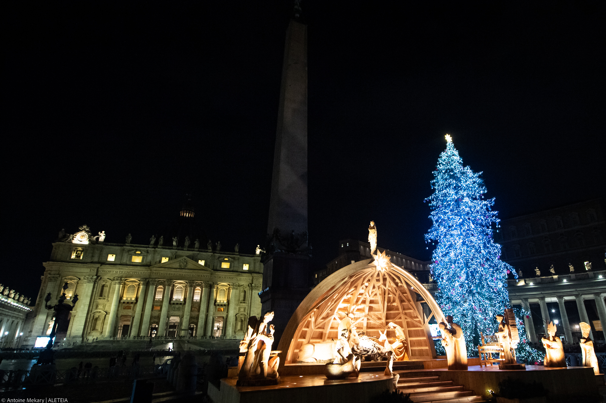 Pope invites us to learn 2 values from Christmas tree and crib (Vatican ...